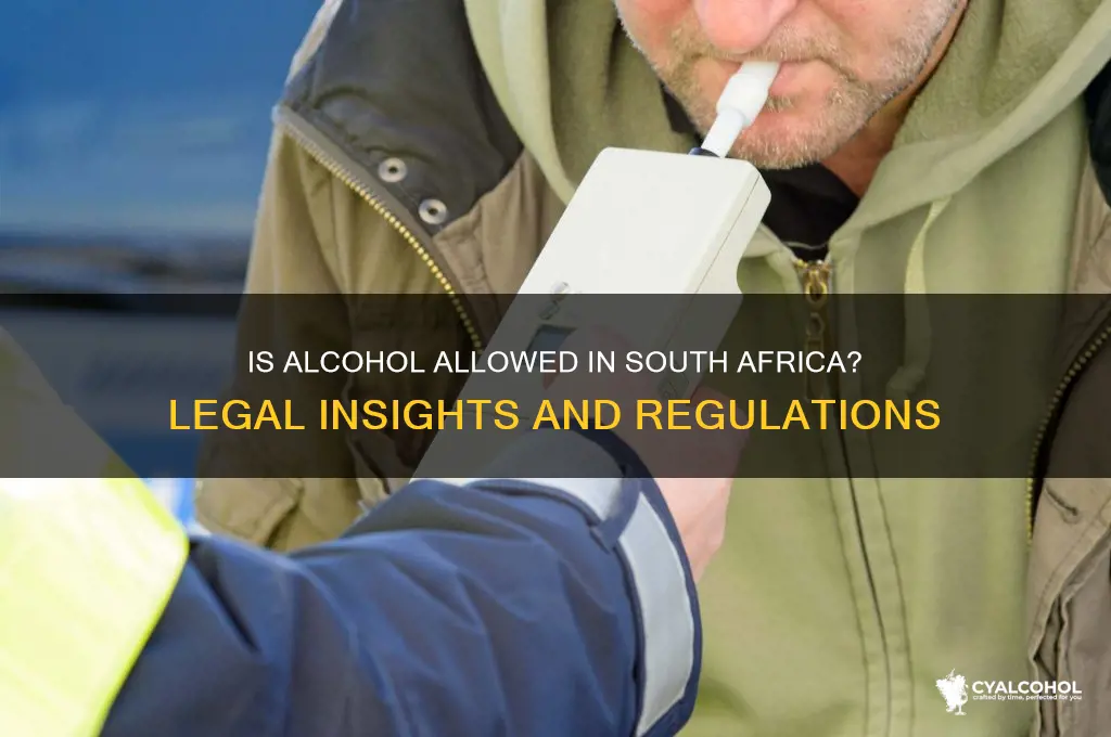 Is Alcohol Allowed In South Africa? Legal Insights And Regulations ...