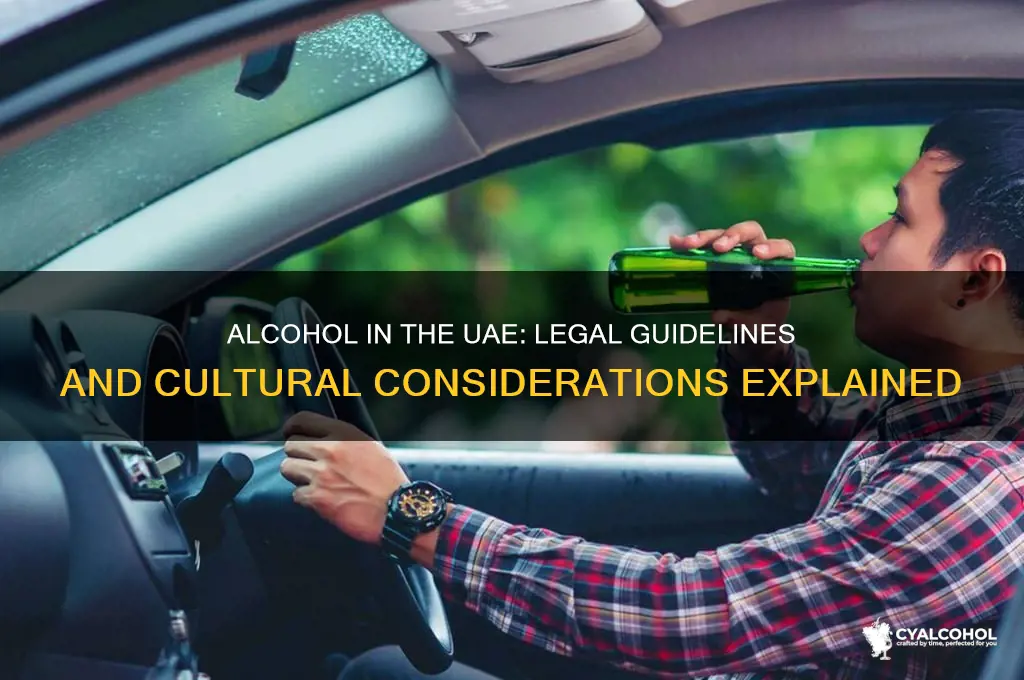 Alcohol In The Uae: Legal Guidelines And Cultural Considerations ...