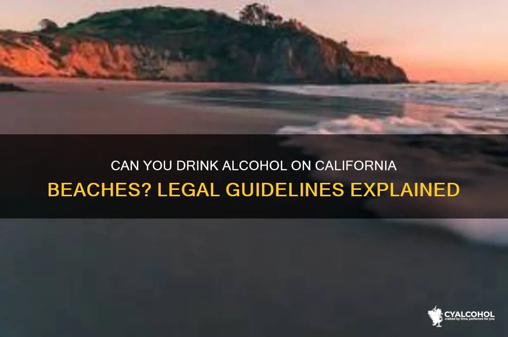 Can You Drink Alcohol On California Beaches? Legal Guidelines Explained ...
