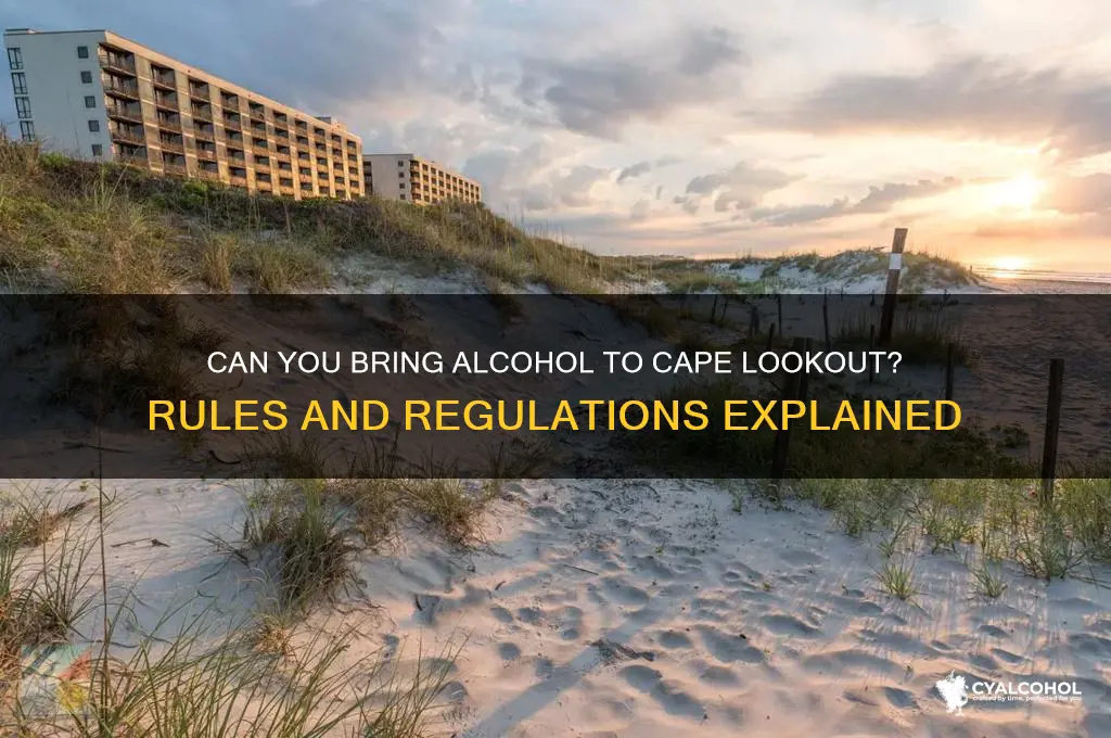 Can You Bring Alcohol To Cape Lookout? Rules And Regulations Explained ...