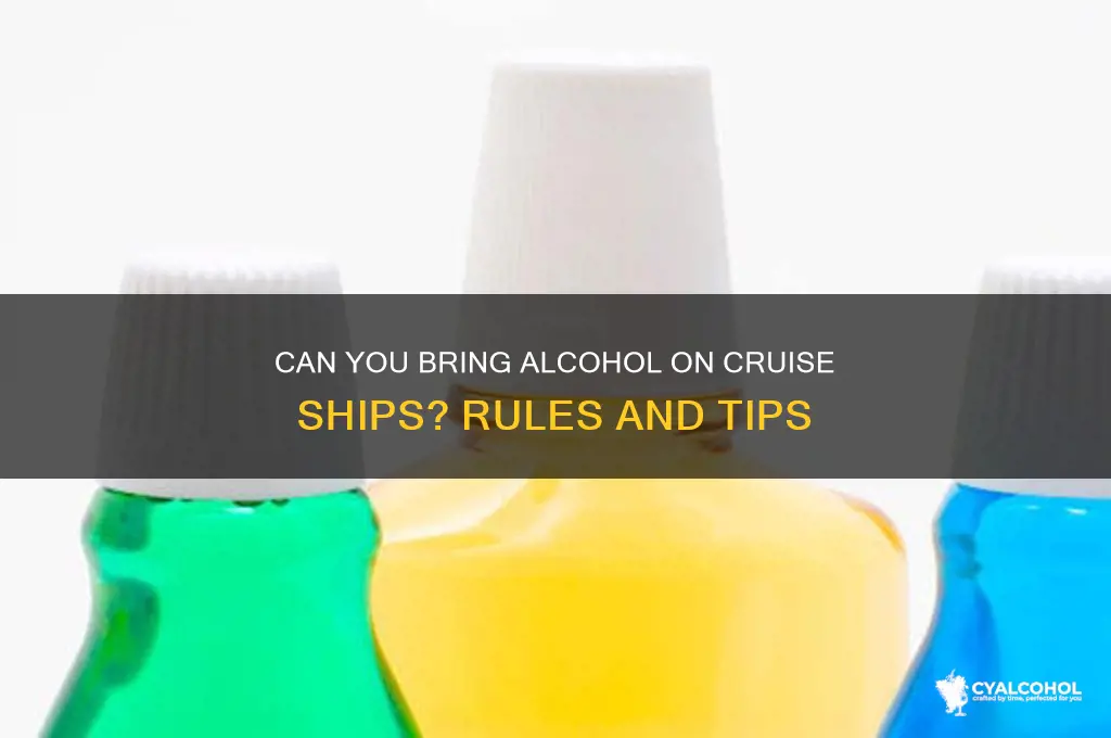 Can You Bring Alcohol On Cruise Ships? Rules And Tips | CyAlcohol