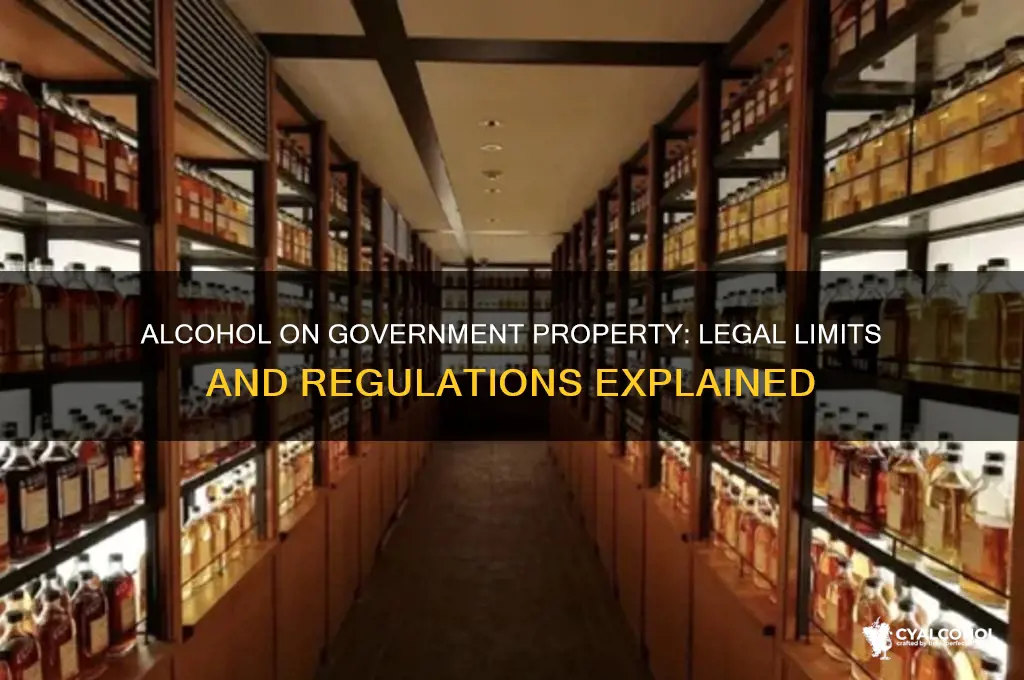 Alcohol On Government Property: Legal Limits And Regulations Explained ...