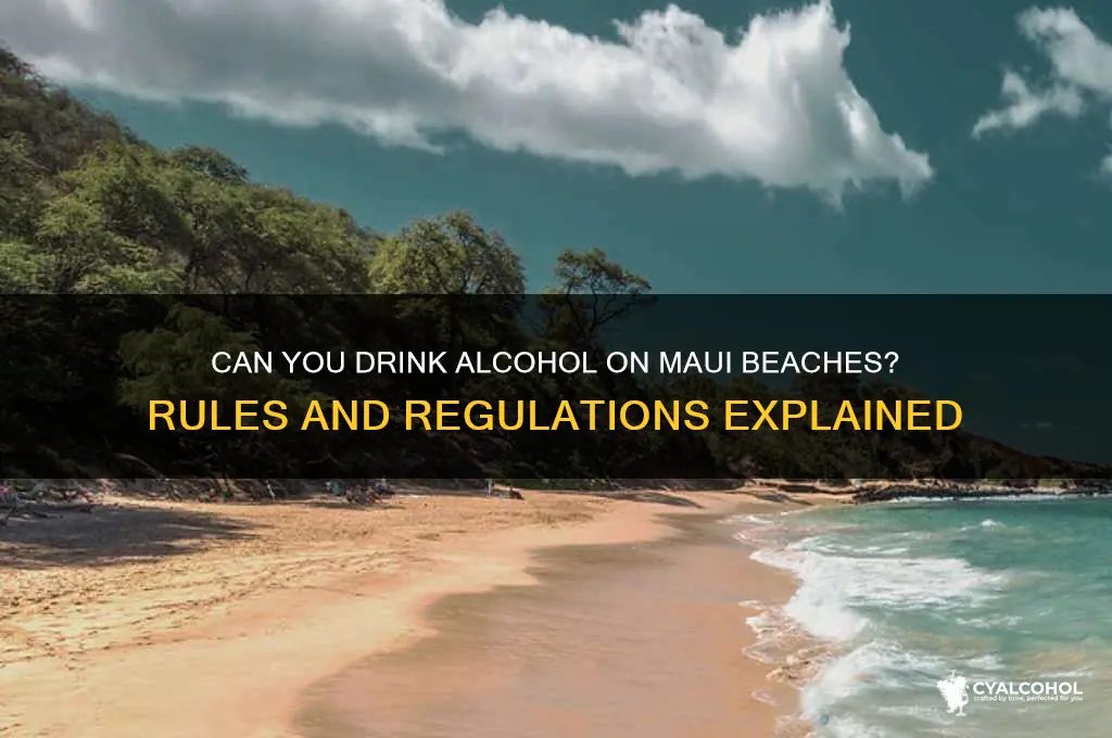 Can You Drink Alcohol On Maui Beaches? Rules And Regulations Explained ...