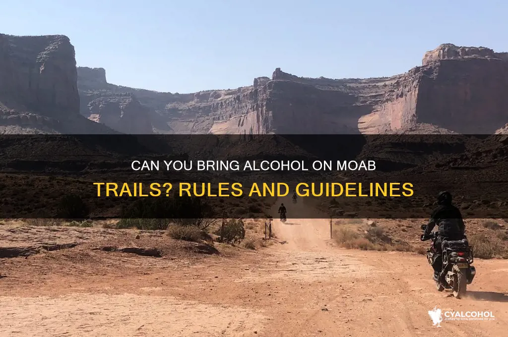Can You Bring Alcohol On Moab Trails? Rules And Guidelines | CyAlcohol