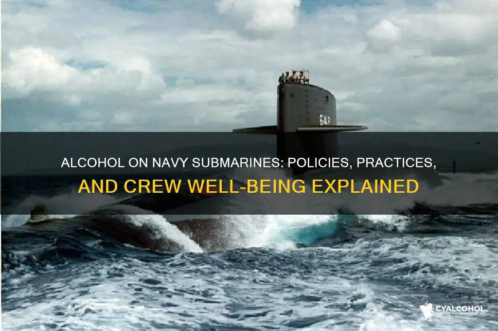 Alcohol On Navy Submarines: Policies, Practices, And Crew Well-Being ...