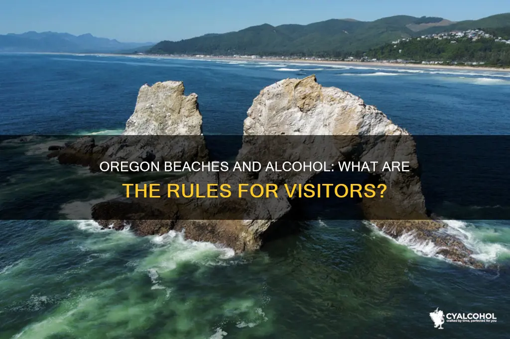 Oregon Beaches And Alcohol: What Are The Rules For Visitors? | CyAlcohol