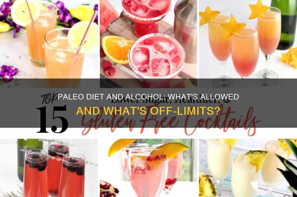 Paleo Diet And Alcohol: What's Allowed And What's Off-Limits? | CyAlcohol
