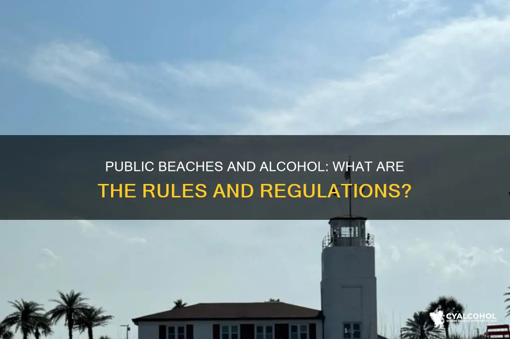 Public Beaches And Alcohol: What Are The Rules And Regulations? | CyAlcohol