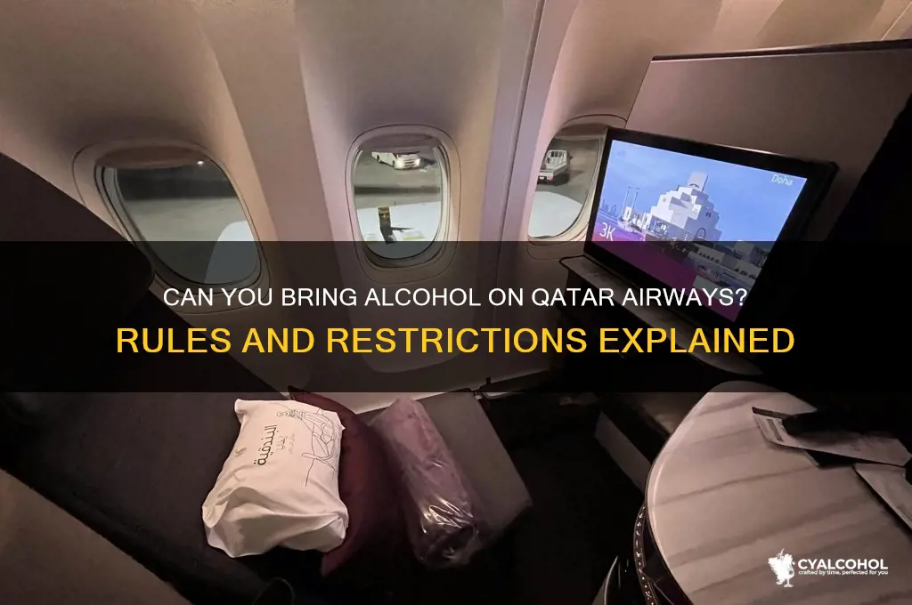 Can You Bring Alcohol On Qatar Airways? Rules And Restrictions ...