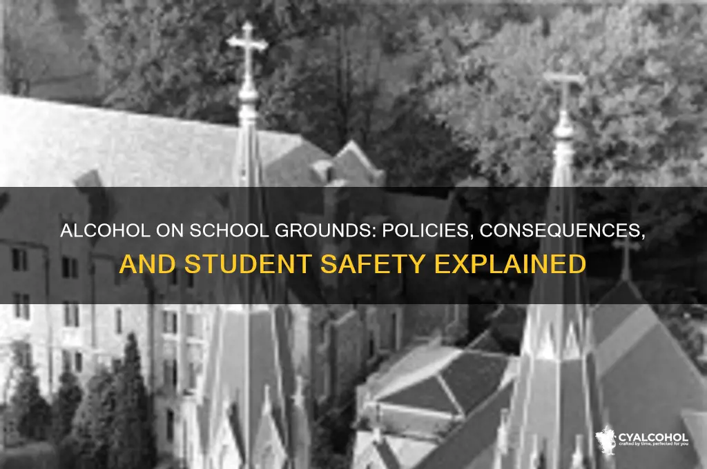Alcohol On School Grounds: Policies, Consequences, And Student Safety ...