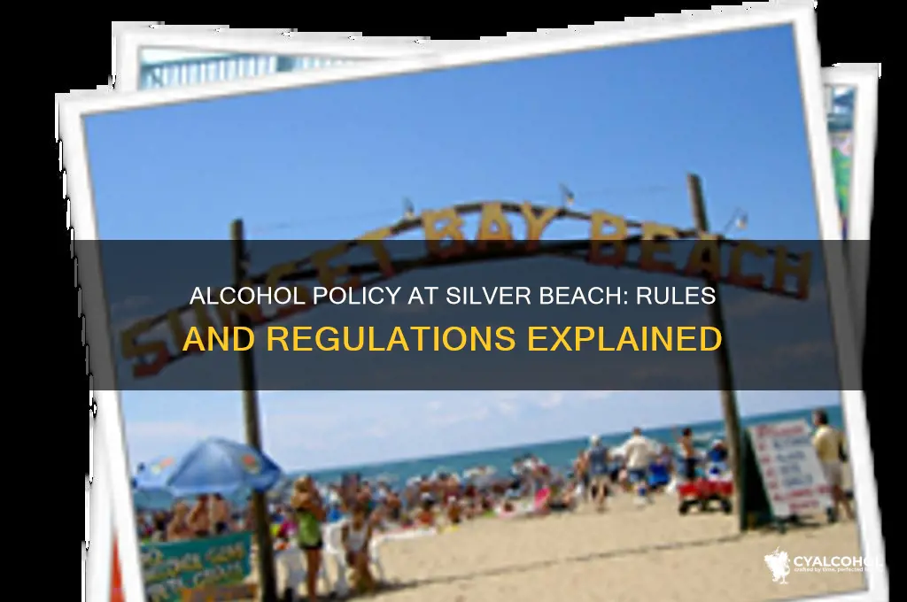 Alcohol Policy At Silver Beach: Rules And Regulations Explained | CyAlcohol