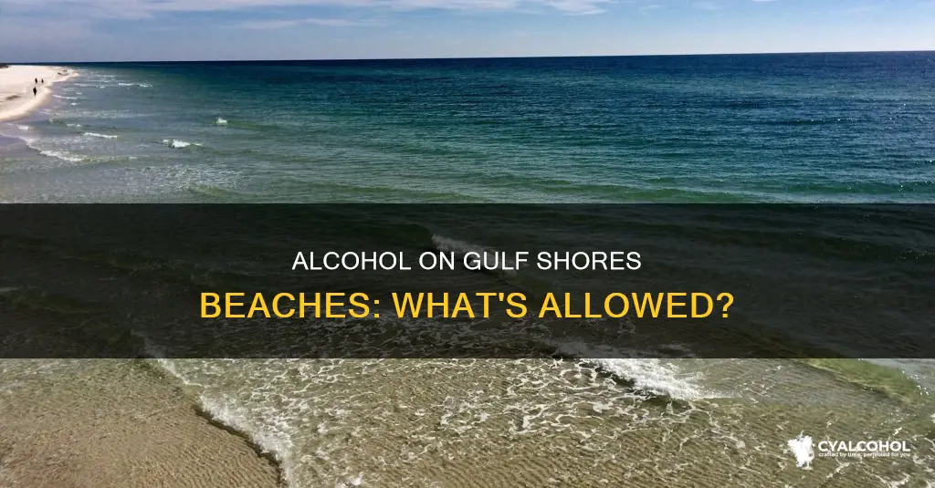 Alcohol On Gulf Shores Beaches: What's Allowed? | CyAlcohol