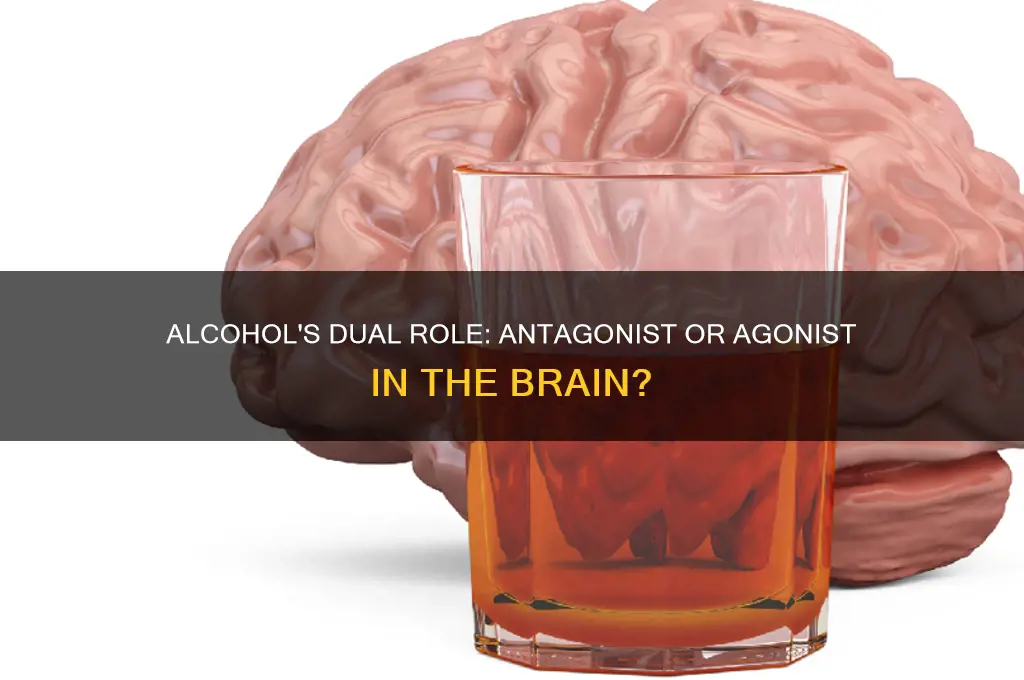Alcohol's Dual Role: Antagonist Or Agonist In The Brain? | CyAlcohol