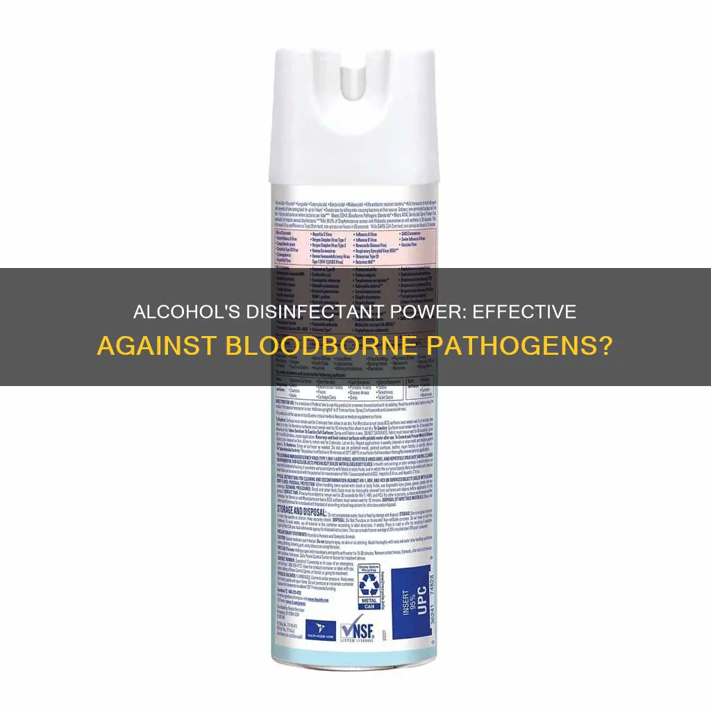 Alcohol's Disinfectant Power: Effective Against Bloodborne Pathogens ...