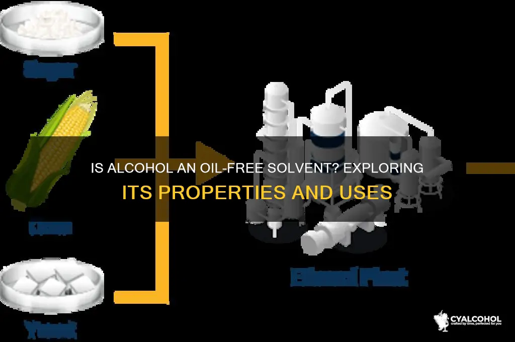 Is Alcohol An Oil-Free Solvent? Exploring Its Properties And Uses ...
