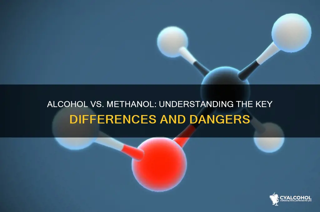 Alcohol Vs. Methanol: Understanding The Key Differences And Dangers ...
