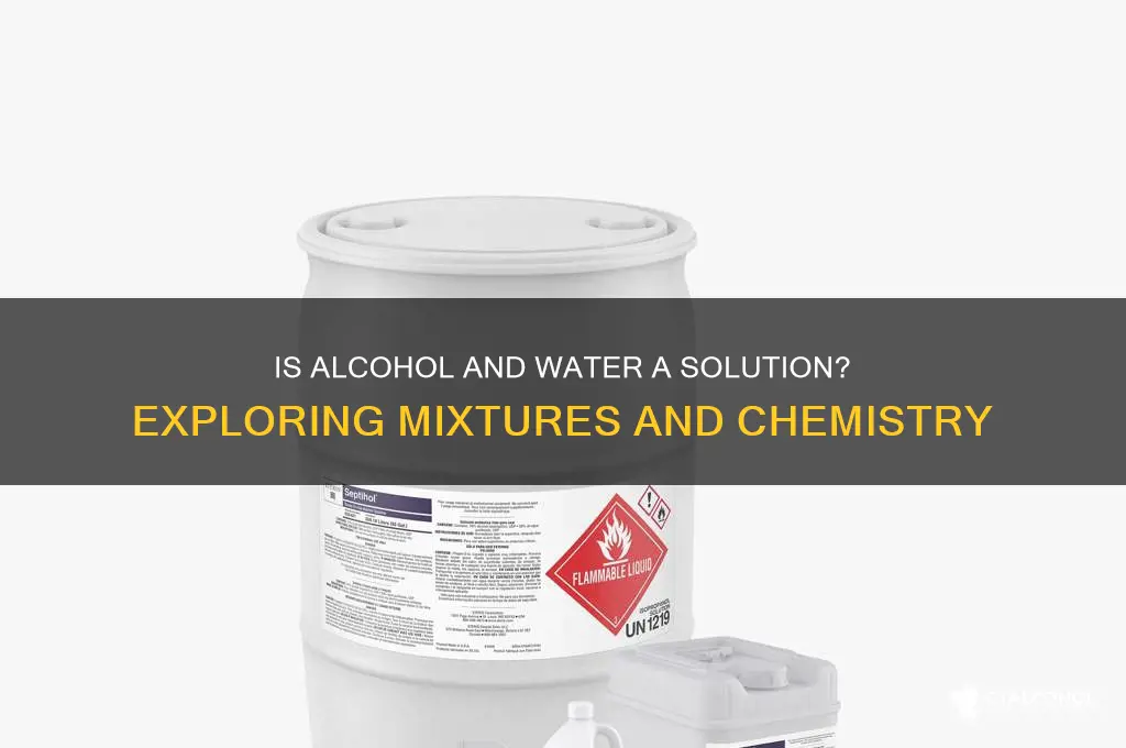 Is Alcohol And Water A Solution? Exploring Mixtures And Chemistry ...