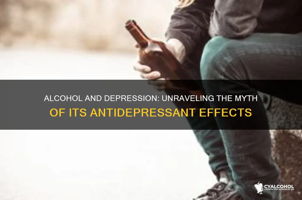 Alcohol And Depression: Unraveling The Myth Of Its Antidepressant ...