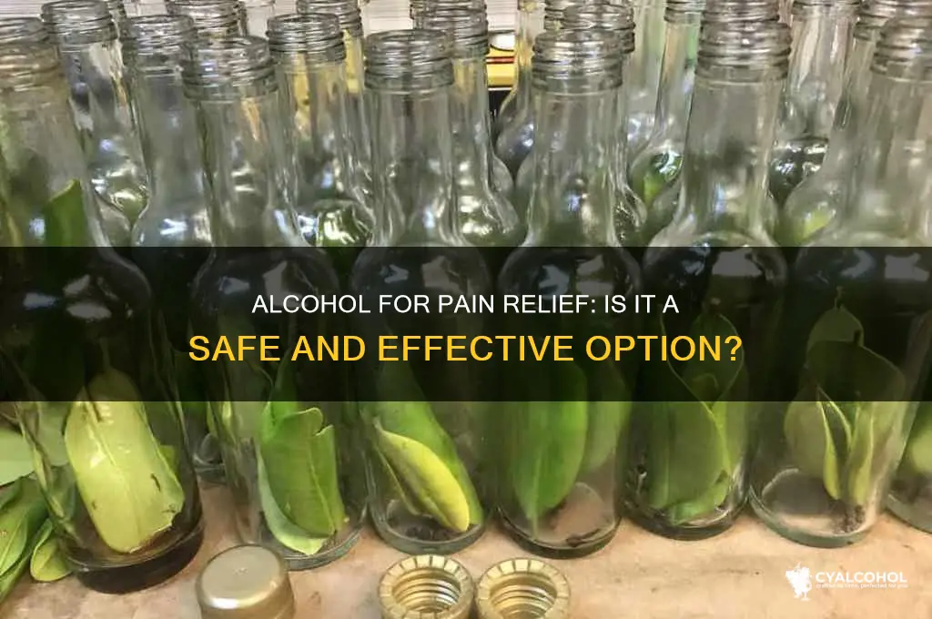 Alcohol For Pain Relief: Is It A Safe And Effective Option? | CyAlcohol