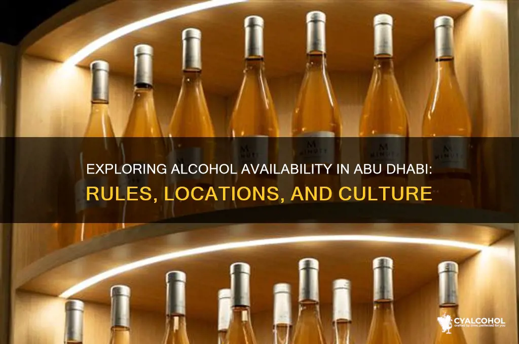 Exploring Alcohol Availability In Abu Dhabi: Rules, Locations, And ...