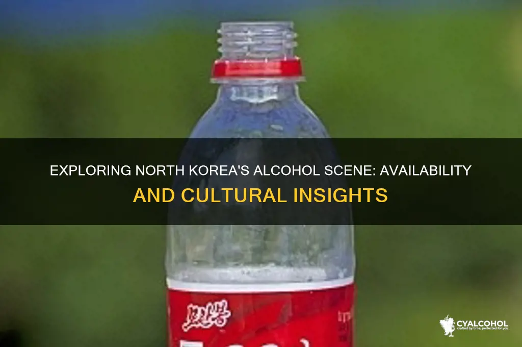 Exploring North Korea's Alcohol Scene: Availability And Cultural ...