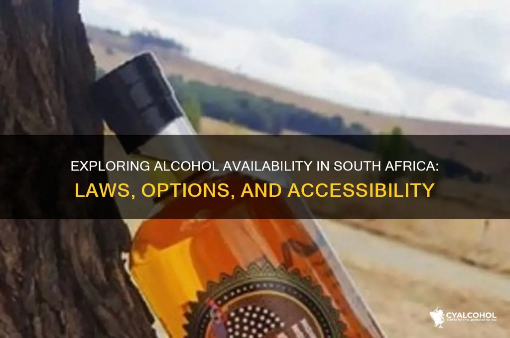 Exploring Alcohol Availability In South Africa: Laws, Options, And ...