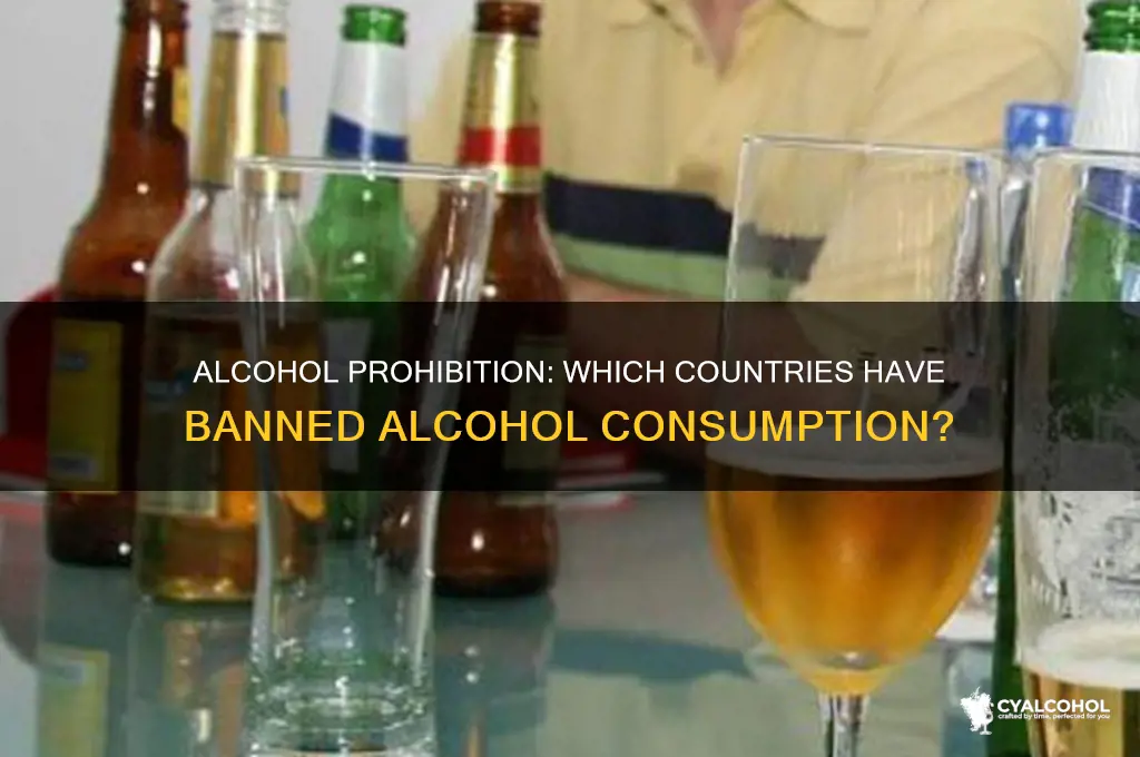 Alcohol Prohibition: Which Countries Have Banned Alcohol Consumption ...