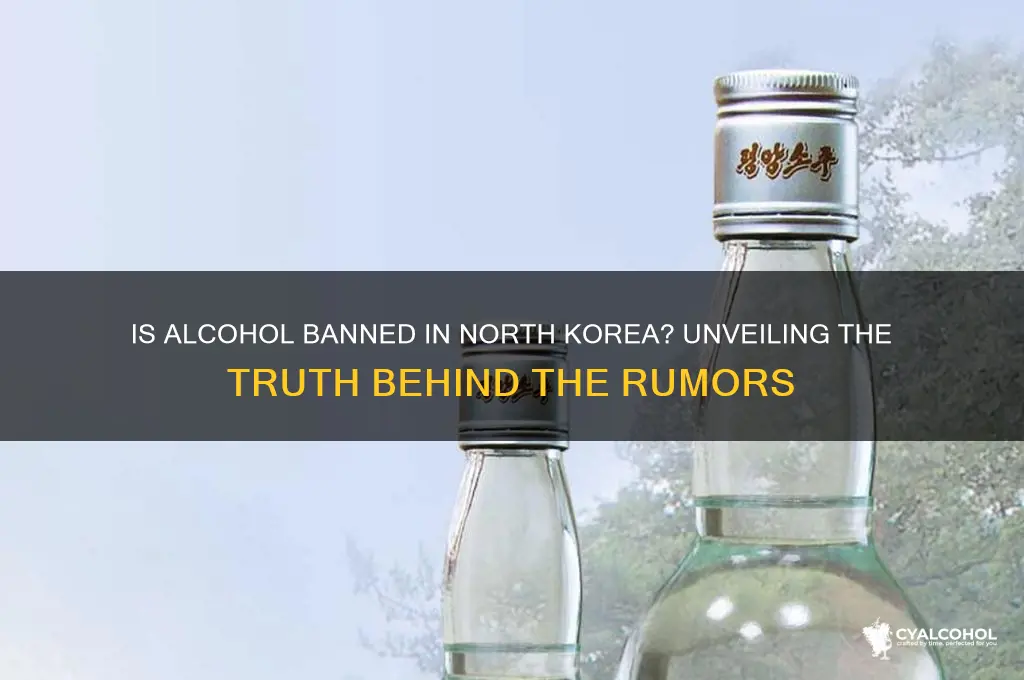 Is Alcohol Banned In North Korea? Unveiling The Truth Behind The Rumors ...