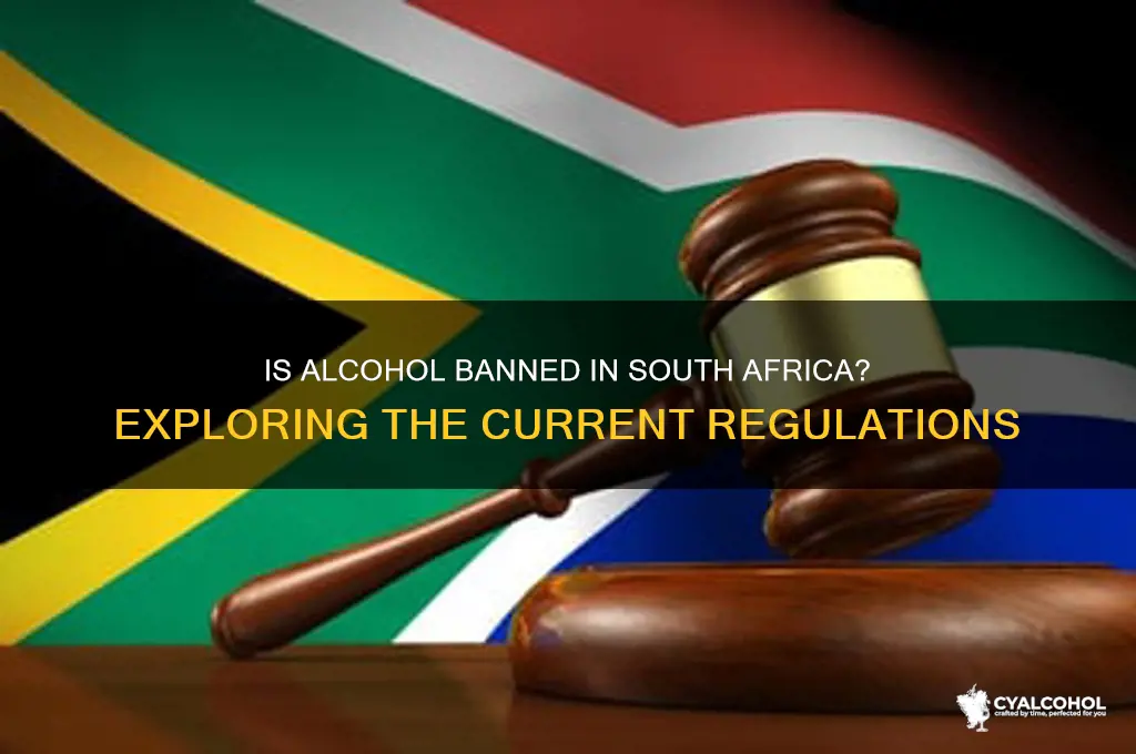 Is Alcohol Banned In South Africa? Exploring The Current Regulations ...