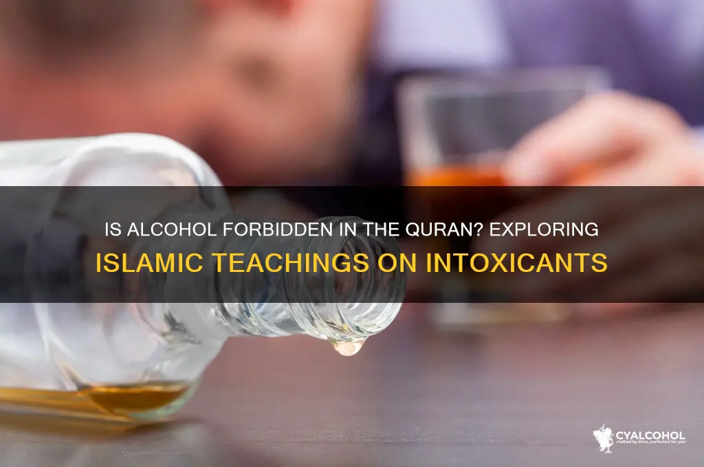 Is Alcohol Forbidden In The Quran? Exploring Islamic Teachings On ...