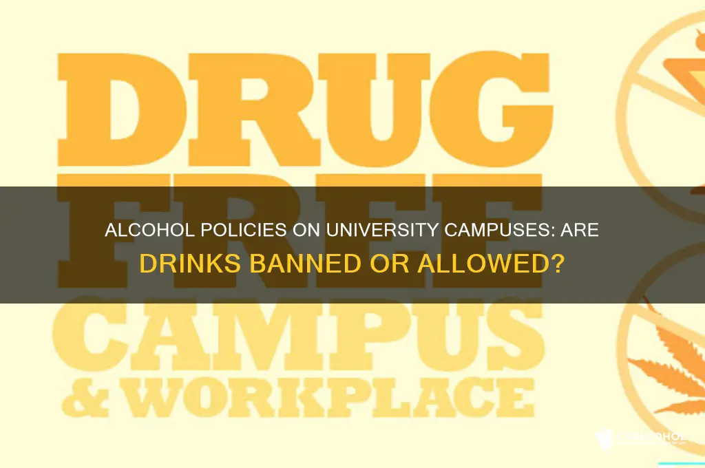 Alcohol Policies On University Campuses: Are Drinks Banned Or Allowed ...