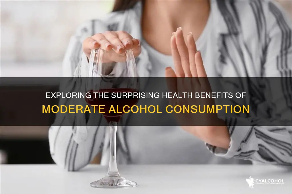 Exploring The Surprising Health Benefits Of Moderate Alcohol ...