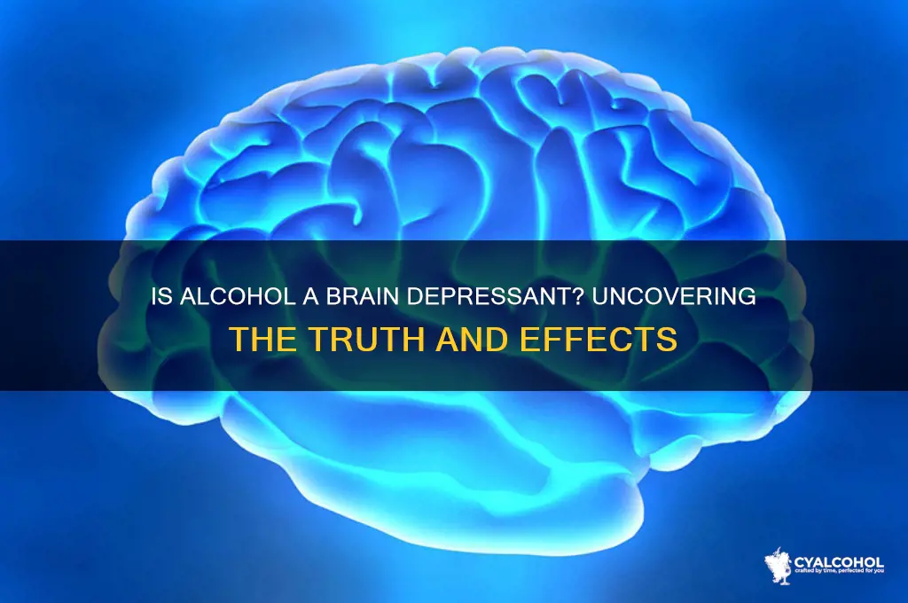 Is Alcohol A Brain Depressant? Uncovering The Truth And Effects | CyAlcohol