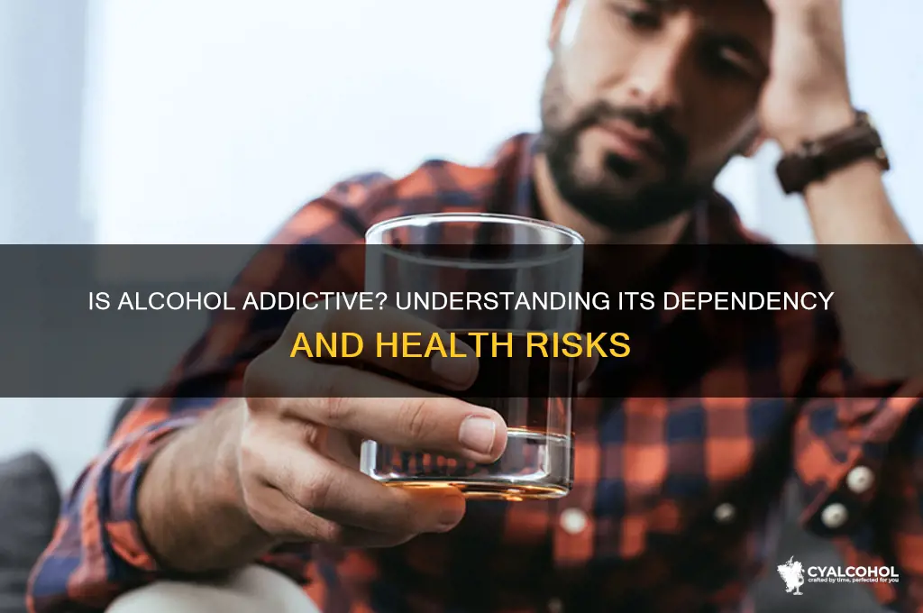 Is Alcohol Addictive? Understanding Its Dependency And Health Risks ...