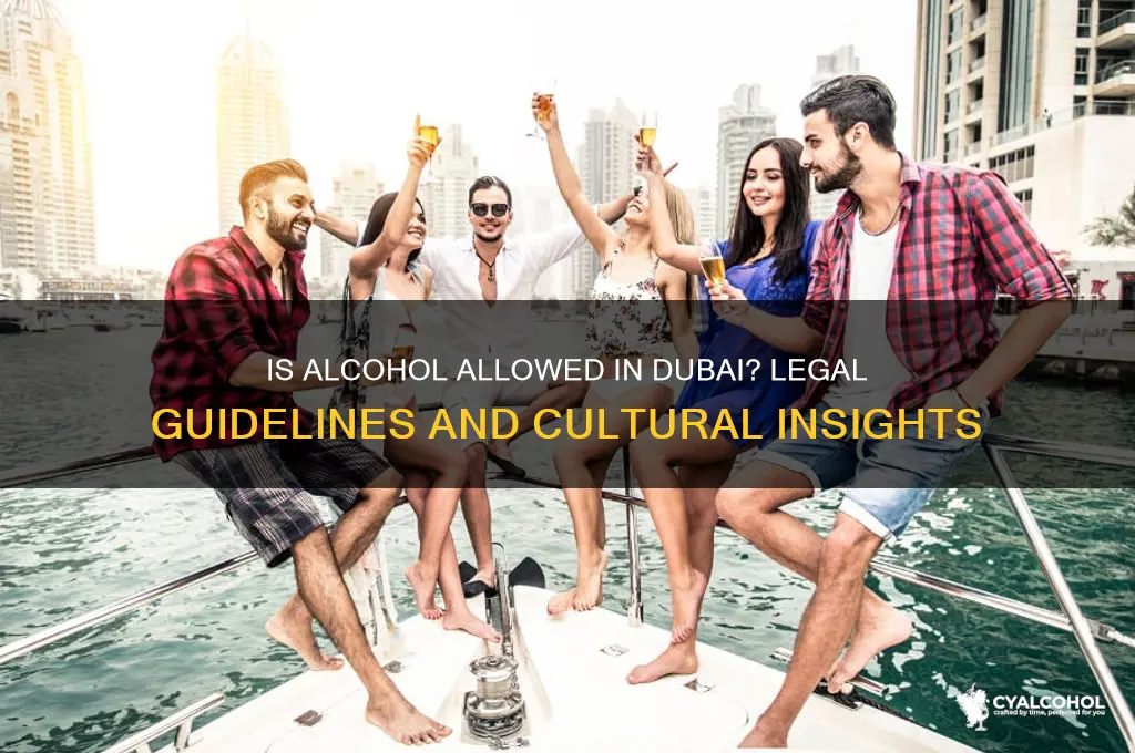 Is Alcohol Allowed In Dubai? Legal Guidelines And Cultural Insights ...