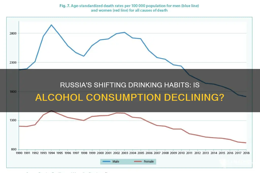 Russia's Shifting Drinking Habits: Is Alcohol Consumption Declining ...