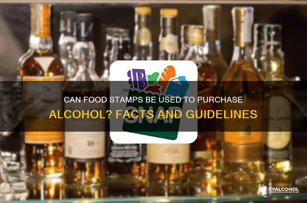 Can Food Stamps Be Used To Purchase Alcohol? Facts And Guidelines ...