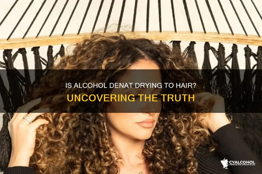 Is Alcohol Denat Drying To Hair? Uncovering The Truth | CyAlcohol