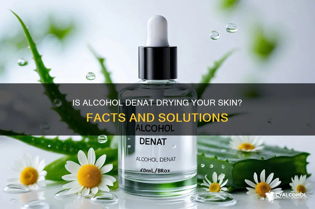 Is Alcohol Denat Drying Your Skin? Facts And Solutions | CyAlcohol