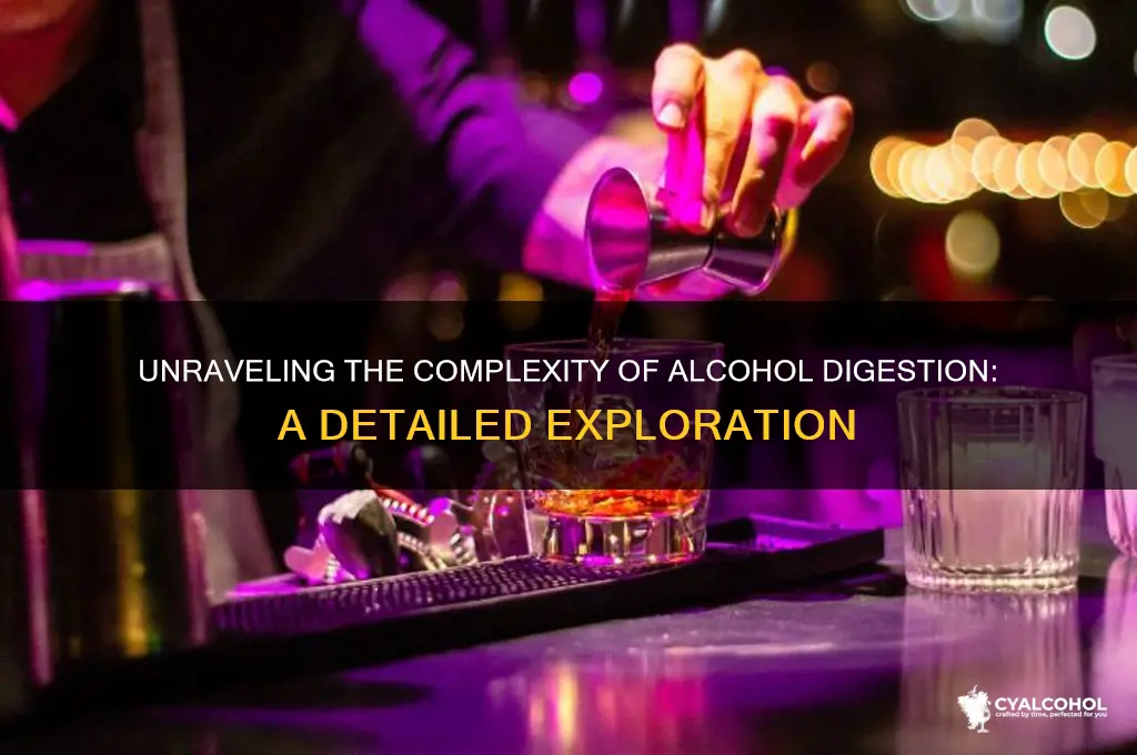 Unraveling The Complexity Of Alcohol Digestion: A Detailed Exploration ...