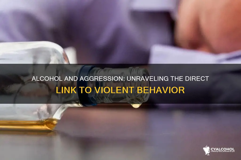 Alcohol And Aggression: Unraveling The Direct Link To Violent Behavior ...