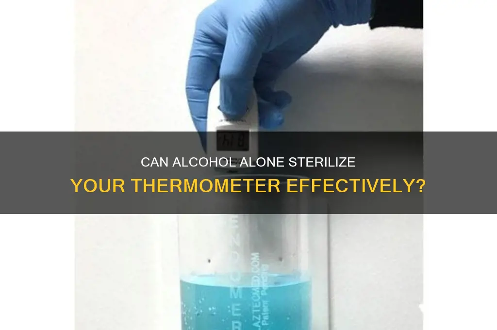 Can Alcohol Alone Sterilize Your Thermometer Effectively? | CyAlcohol