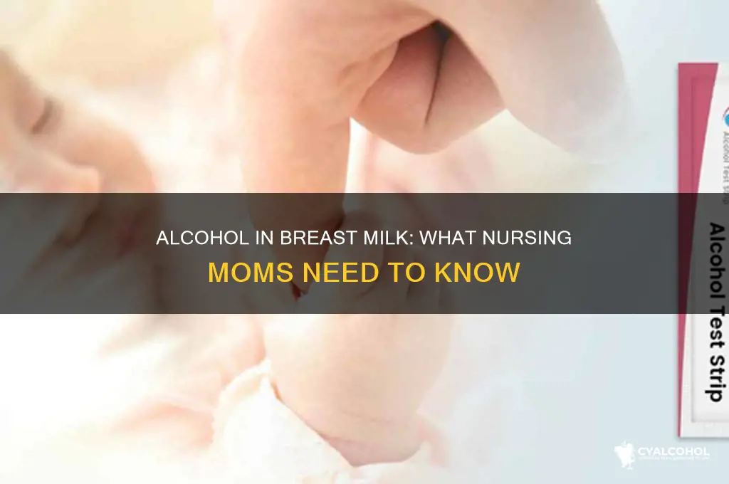 Alcohol In Breast Milk: What Nursing Moms Need To Know | CyAlcohol