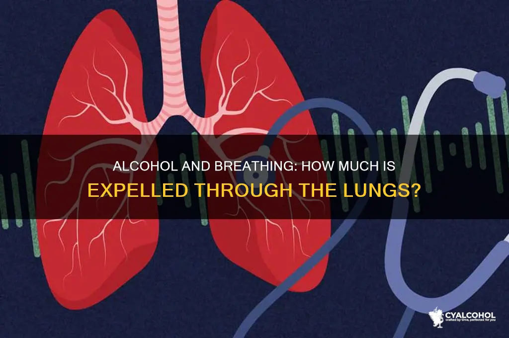 Alcohol And Breathing: How Much Is Expelled Through The Lungs? | CyAlcohol