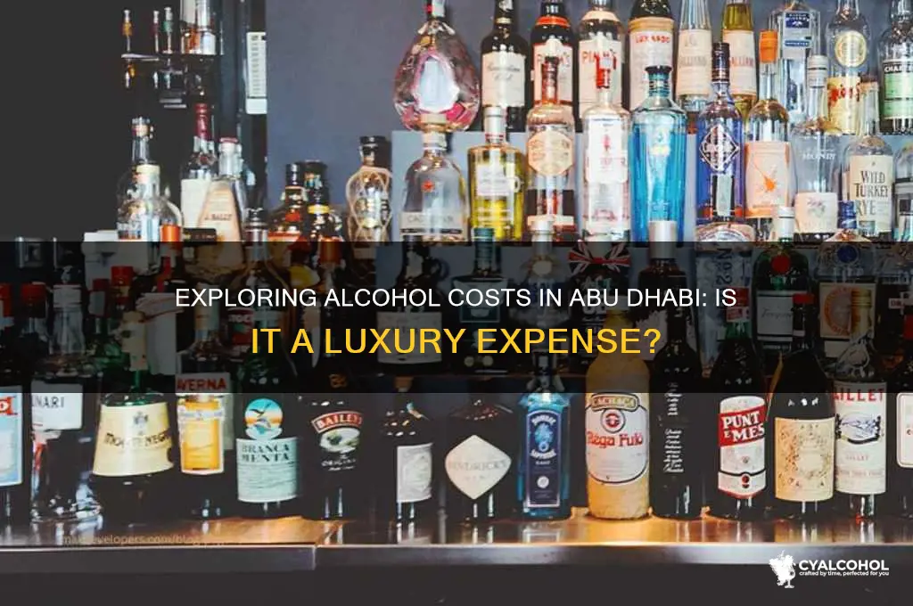 Exploring Alcohol Costs In Abu Dhabi: Is It A Luxury Expense? | CyAlcohol
