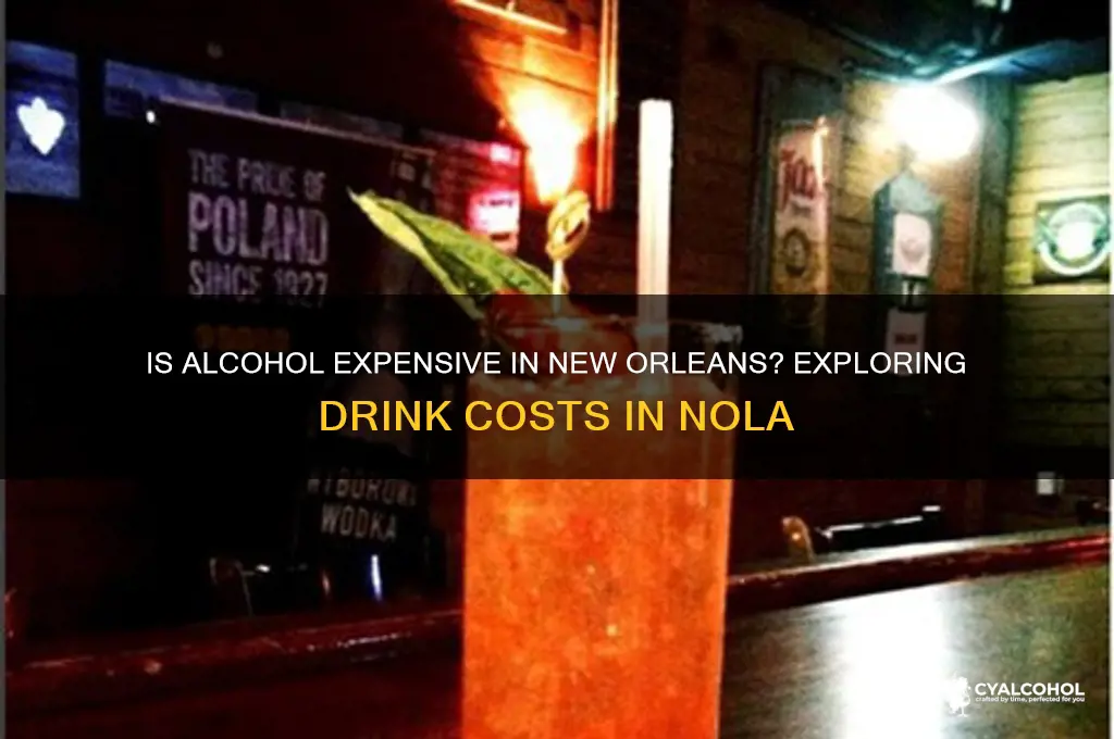 Is Alcohol Expensive In New Orleans? Exploring Drink Costs In Nola ...