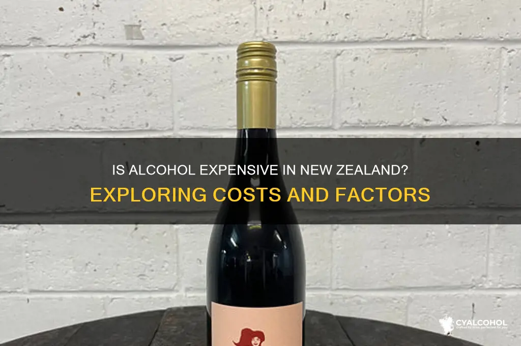 Is Alcohol Expensive In New Zealand? Exploring Costs And Factors ...