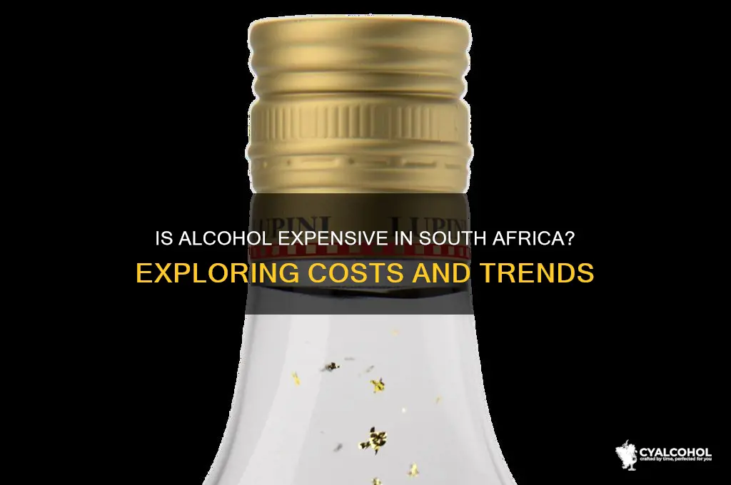 Is Alcohol Expensive In South Africa? Exploring Costs And Trends ...