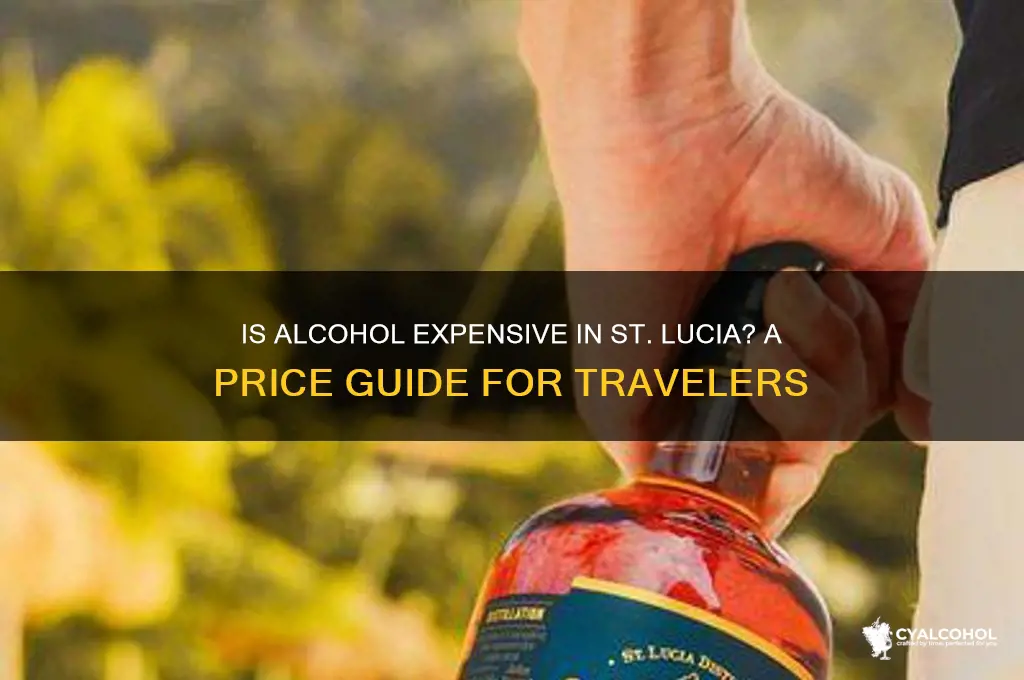 Is Alcohol Expensive In St. Lucia? A Price Guide For Travelers | CyAlcohol