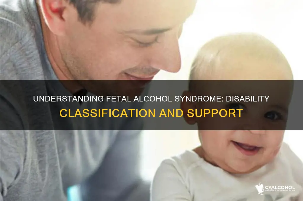 Understanding Fetal Alcohol Syndrome: Disability Classification And ...